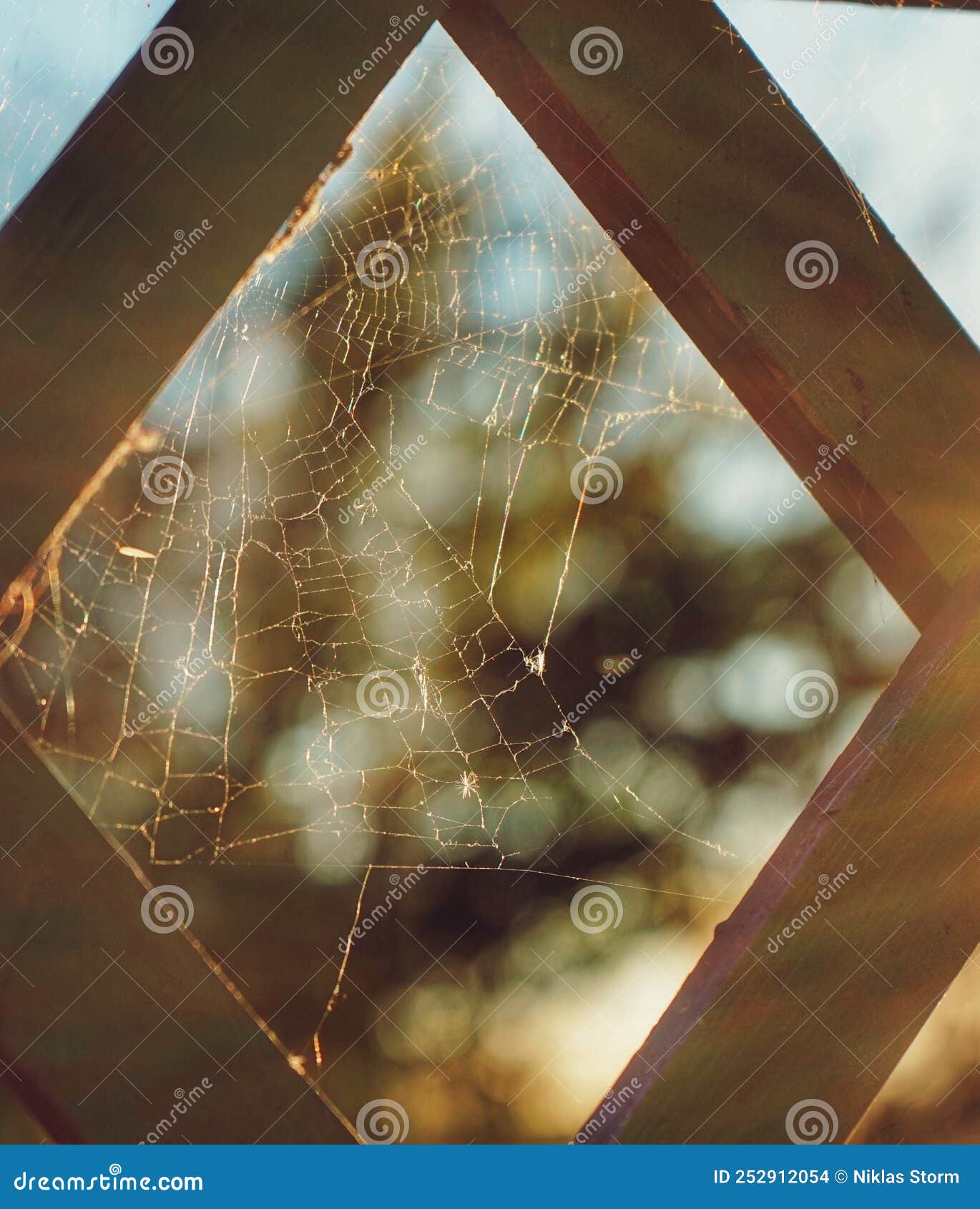 Close-up of Spider Web on Bench Stock Photo - Image of bench, spider ...