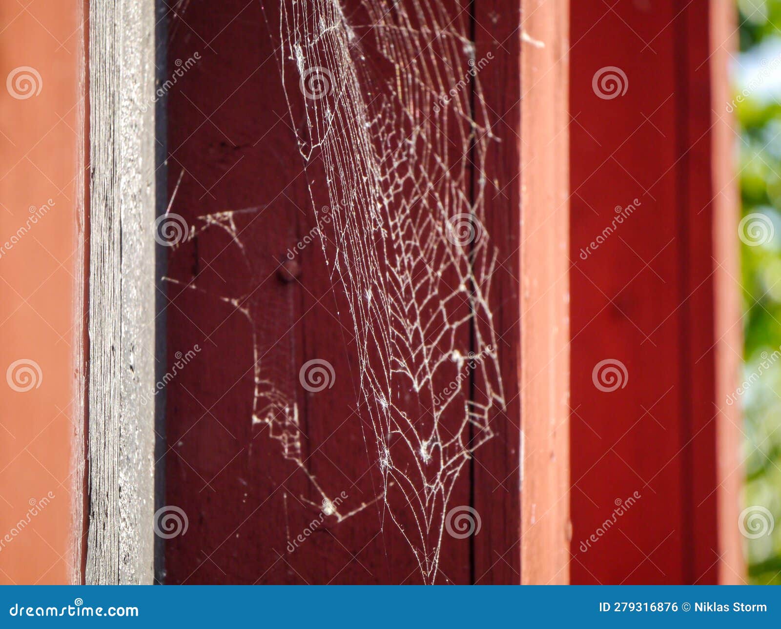 Close Up of a Spider Web on a Building Stock Photo - Image of material ...