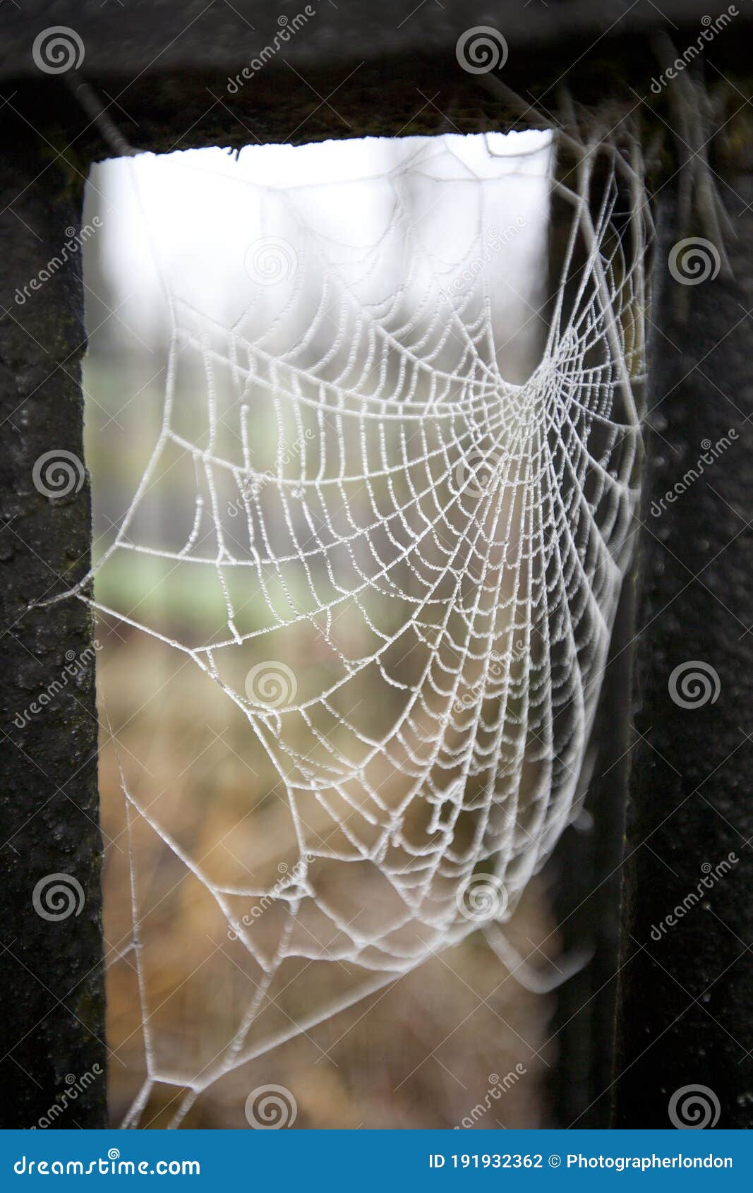 Close Up of Spider Web on Window Stock Photo - Image of decoration ...