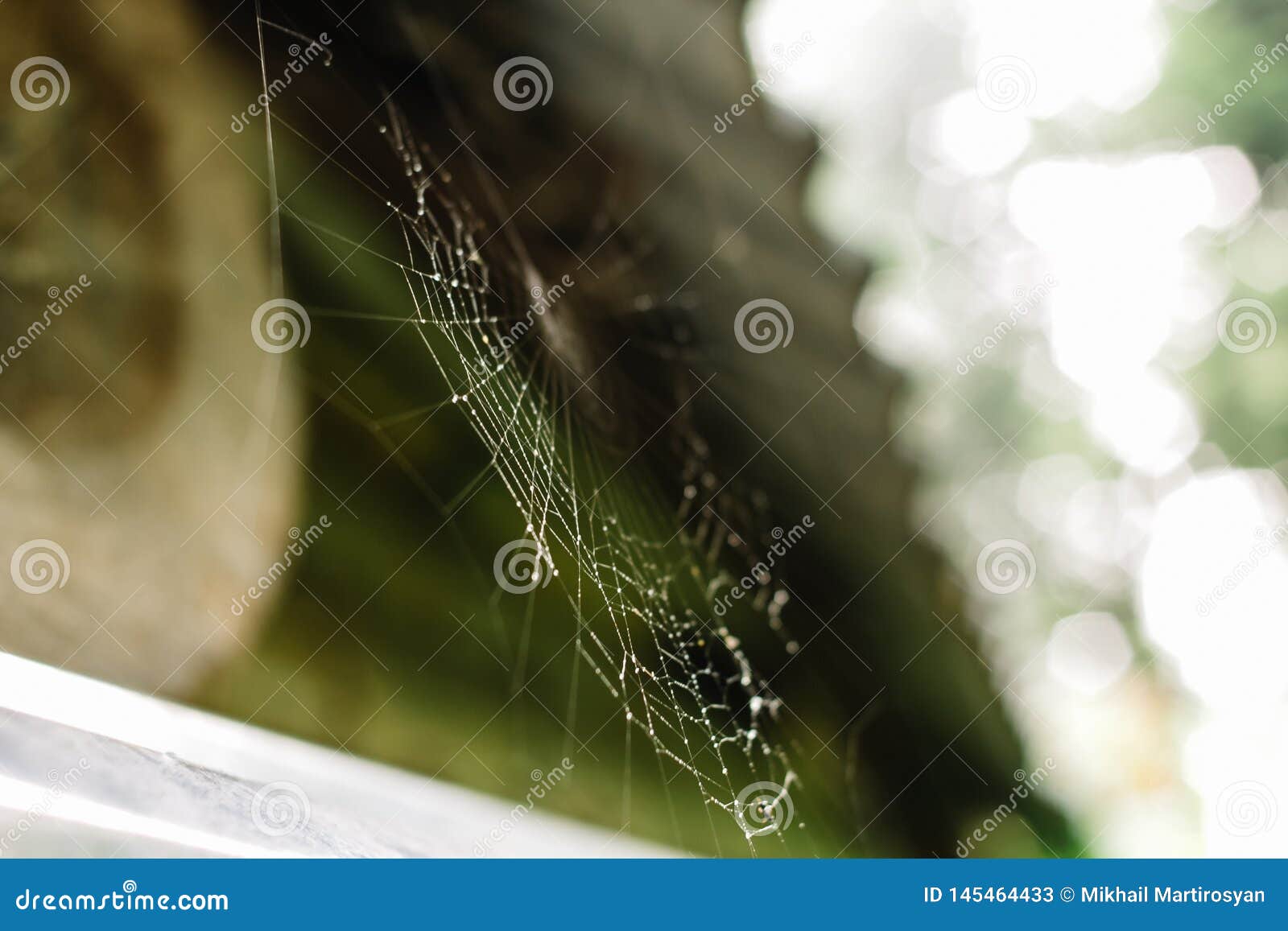 Close Up of a Spiderweb with Drops of Dew Stock Image - Image of close ...