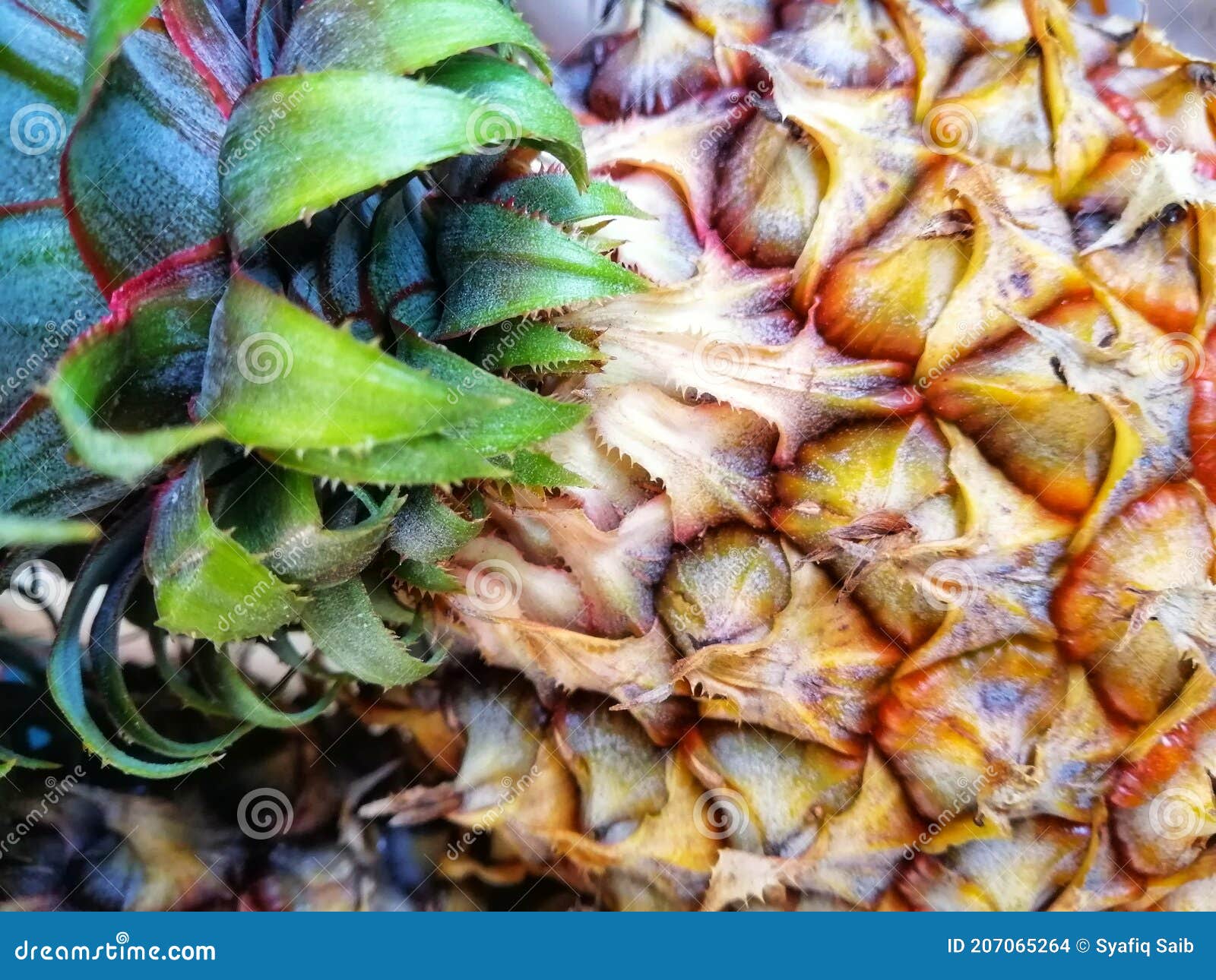 Close-up of Spiky Pineapple Fruit Skin. Stock Photo - Image of fruit ...