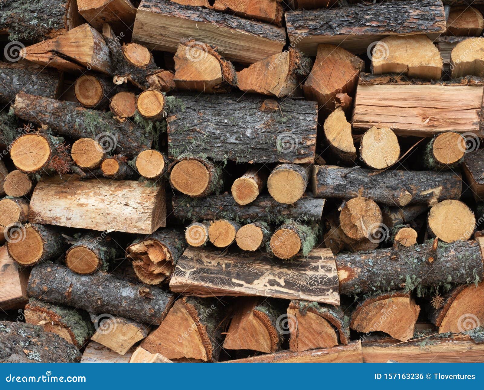 Stacked Split Lumber for Firewood Stock Photo - Image of branches ...