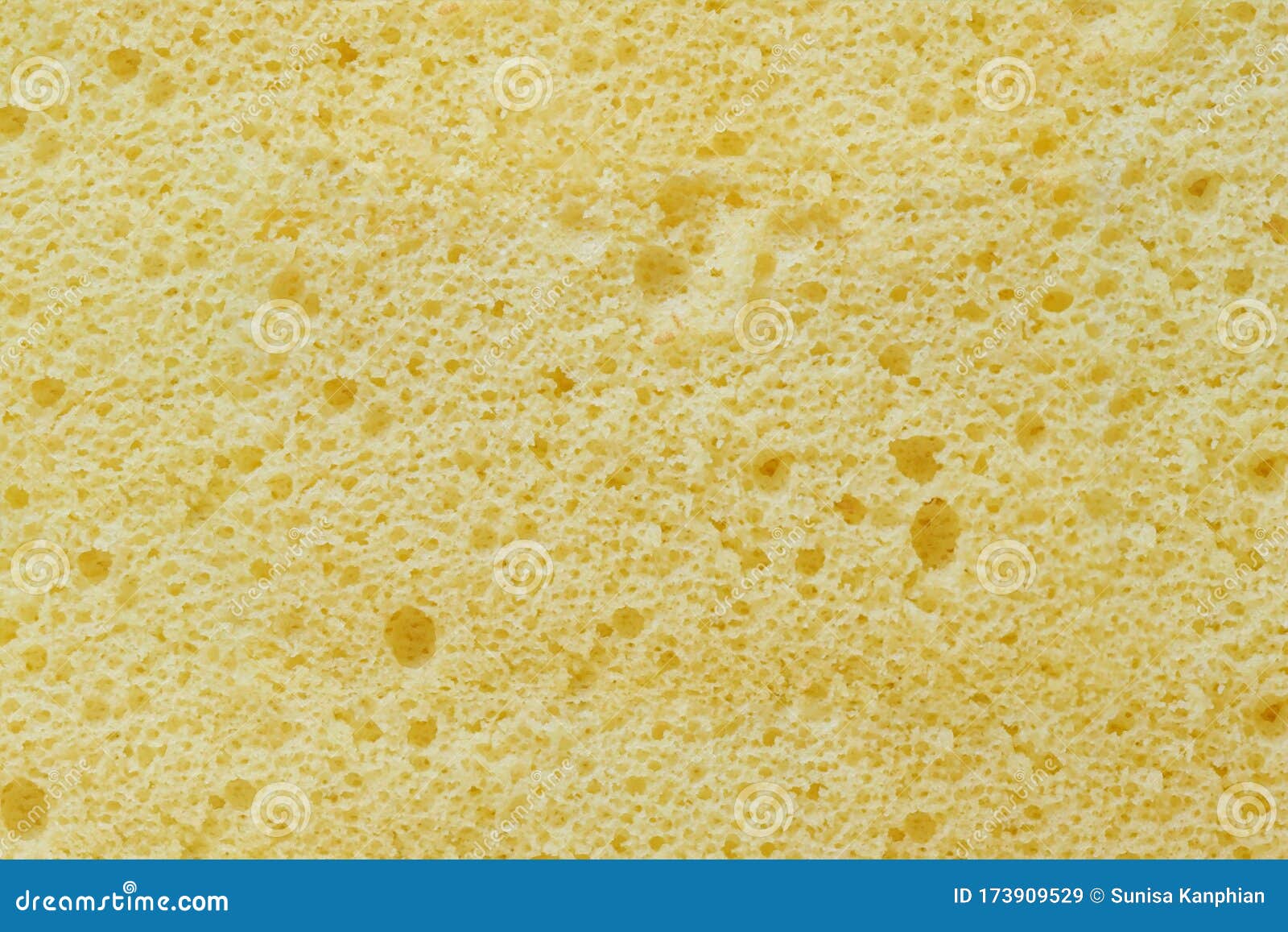 Sponge Texture For Background Stock Photography | CartoonDealer.com ...