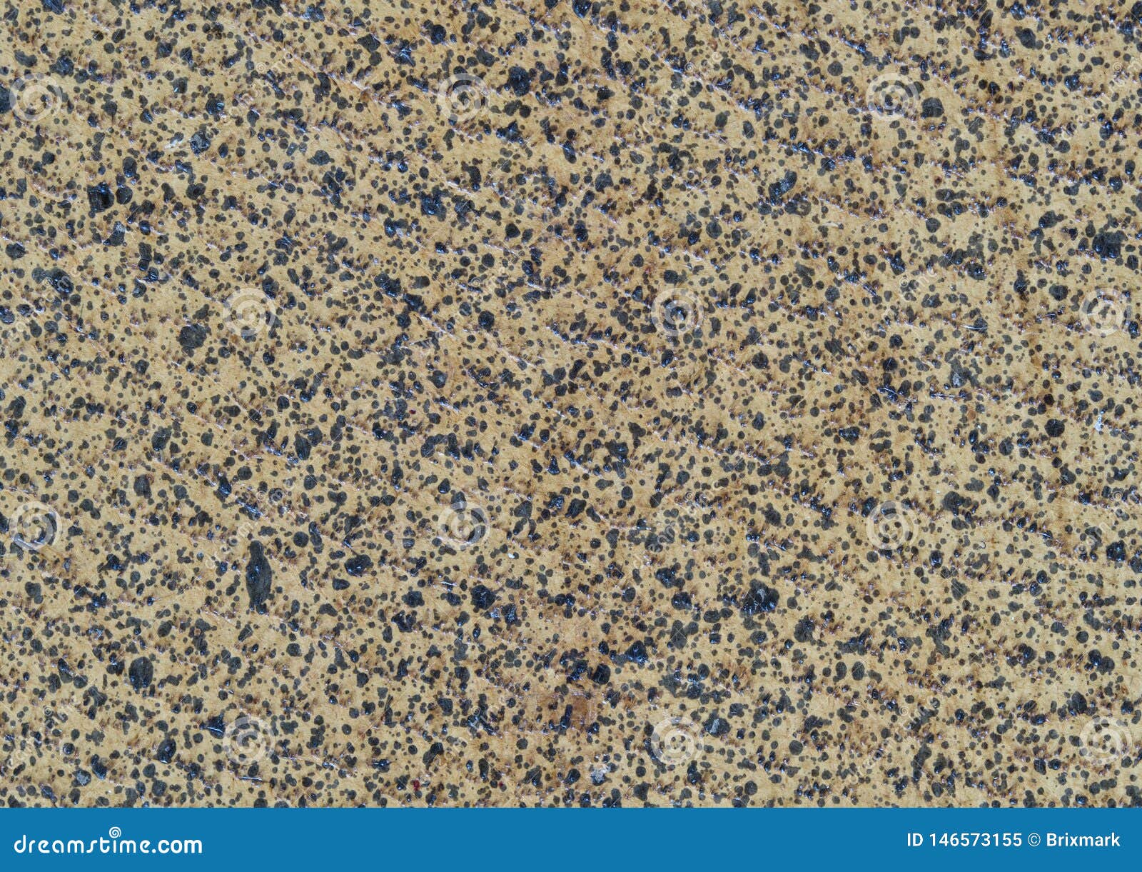 Close-up spotted texture stock image. Image of brown - 146573155