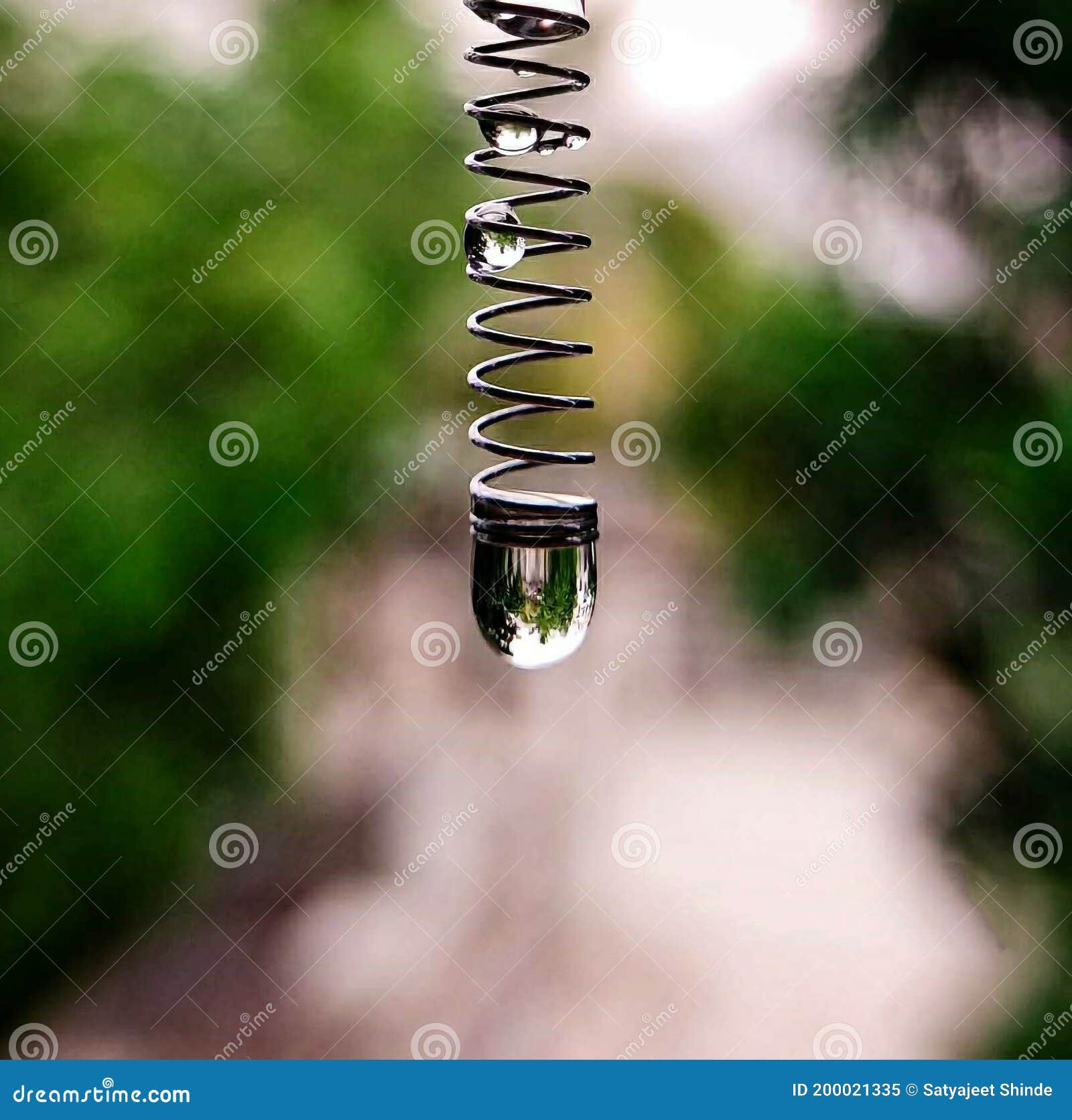 Close Up of a Spring and Droplet Stock Image - Image of texture, brown ...