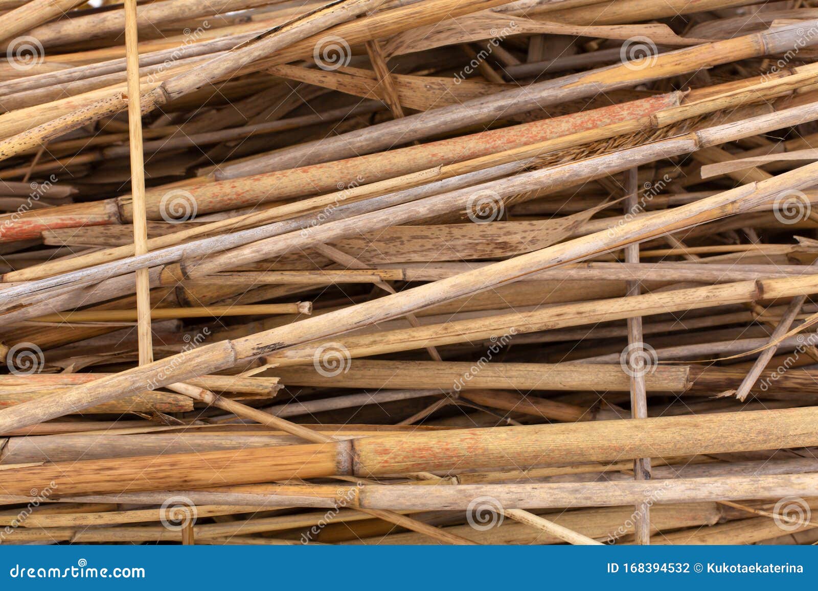 Close-up of a Stack of Dry Reed Stalks Stock Photo - Image of stem ...