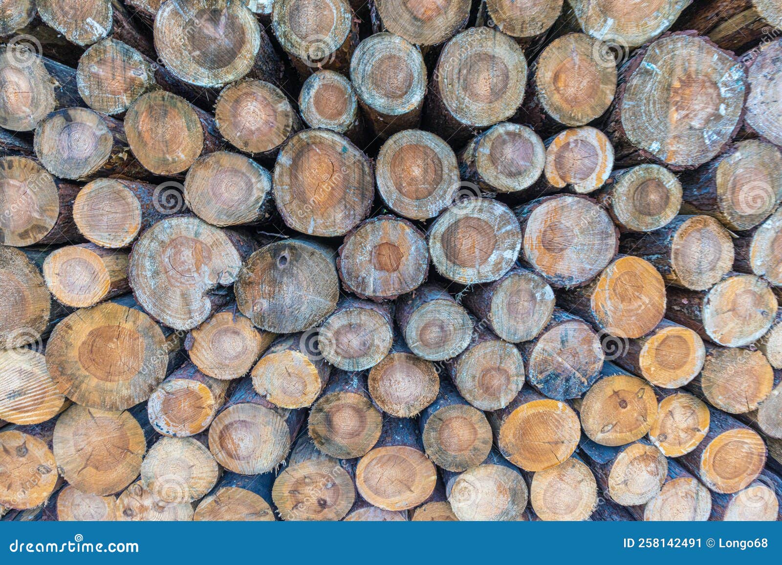 Close-up on a Stack of Felled Tree Trunks Stock Image - Image of brown ...