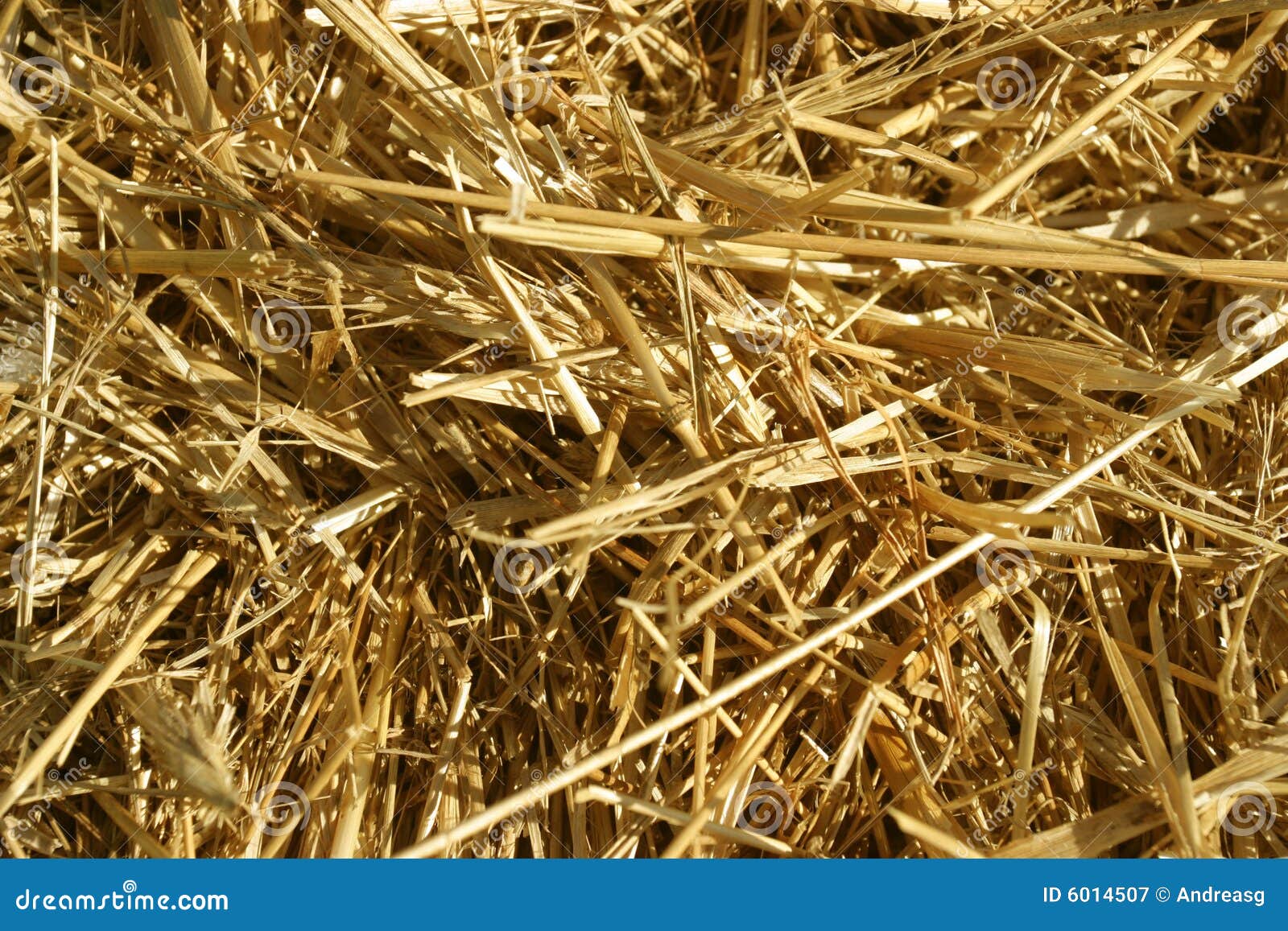 Close up of a Stack of Hay stock image. Image of sunlit - 6014507