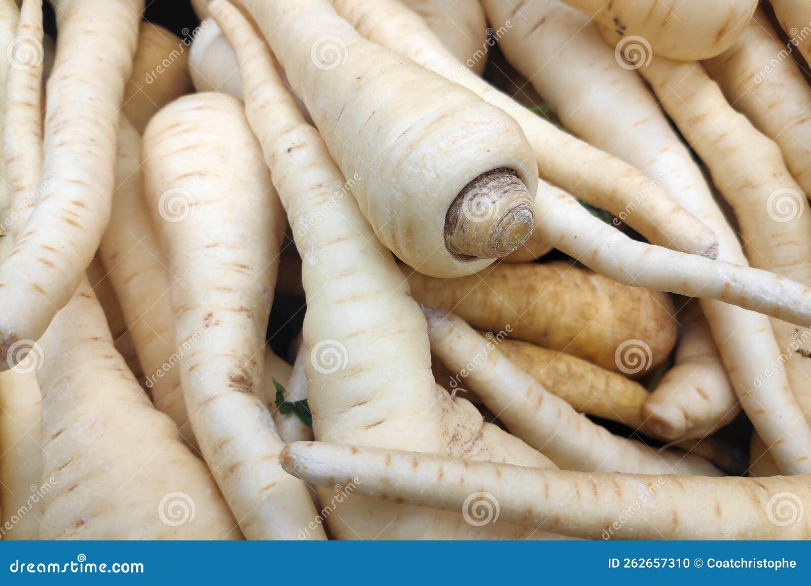 Stack of Parsnips on a Market Stall Stock Photo - Image of healthy ...