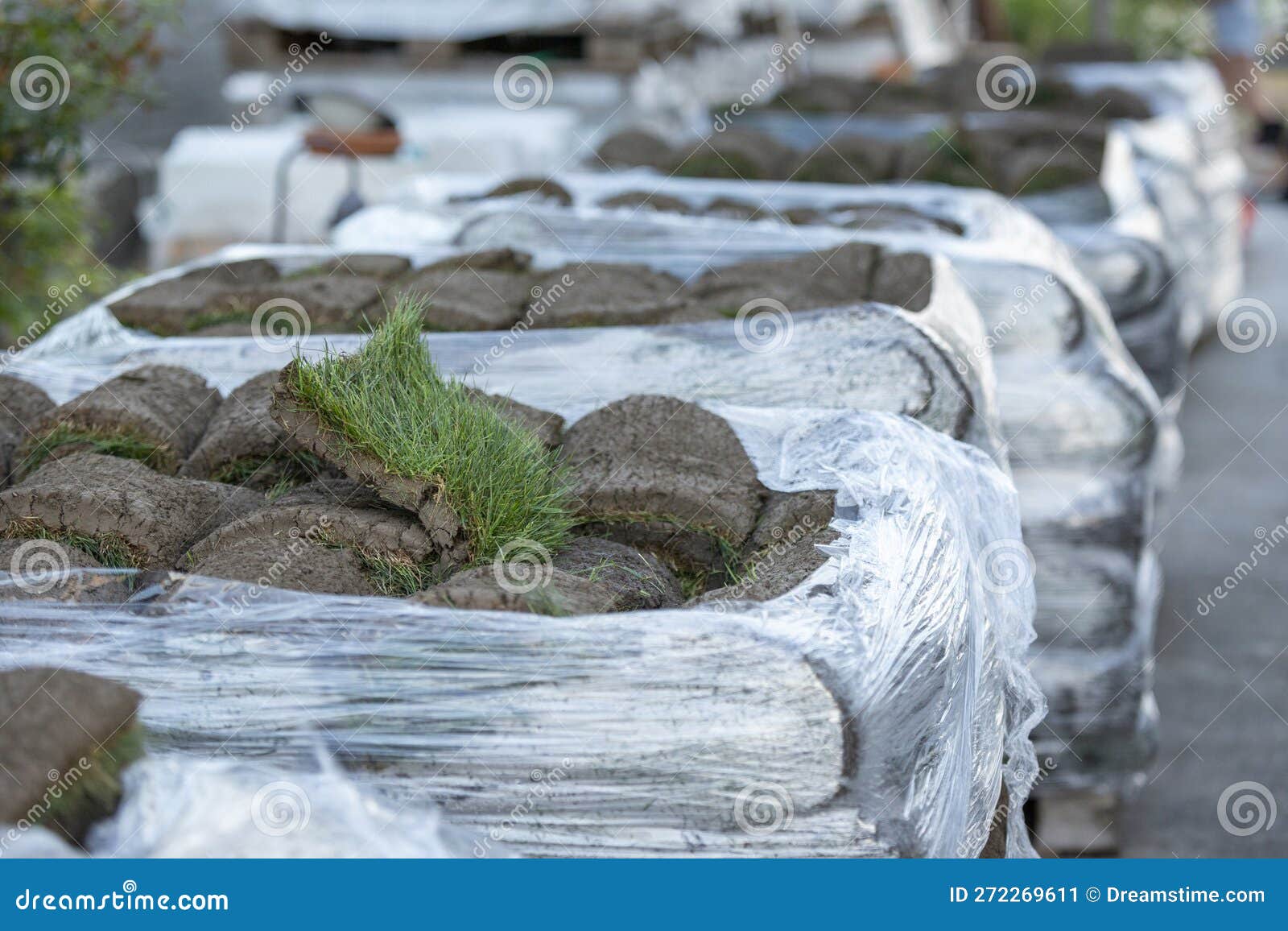 Close Up of Stack of Sod Turf Grass Rolls, Ready for Laying in New Lawn ...