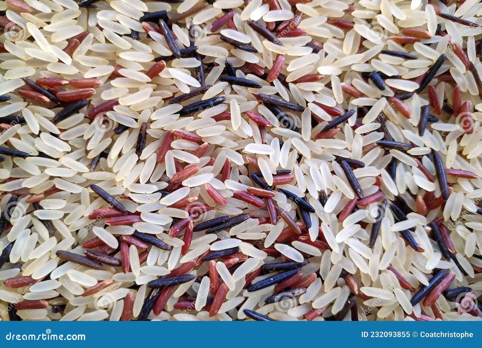 Stack of Three Variety of Rices Stock Image - Image of heap, ripe ...