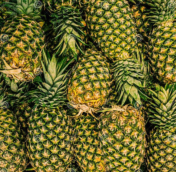 Closeup of Stacked Pineapples Stock Photo - Image of crop, pineapples: 209546720