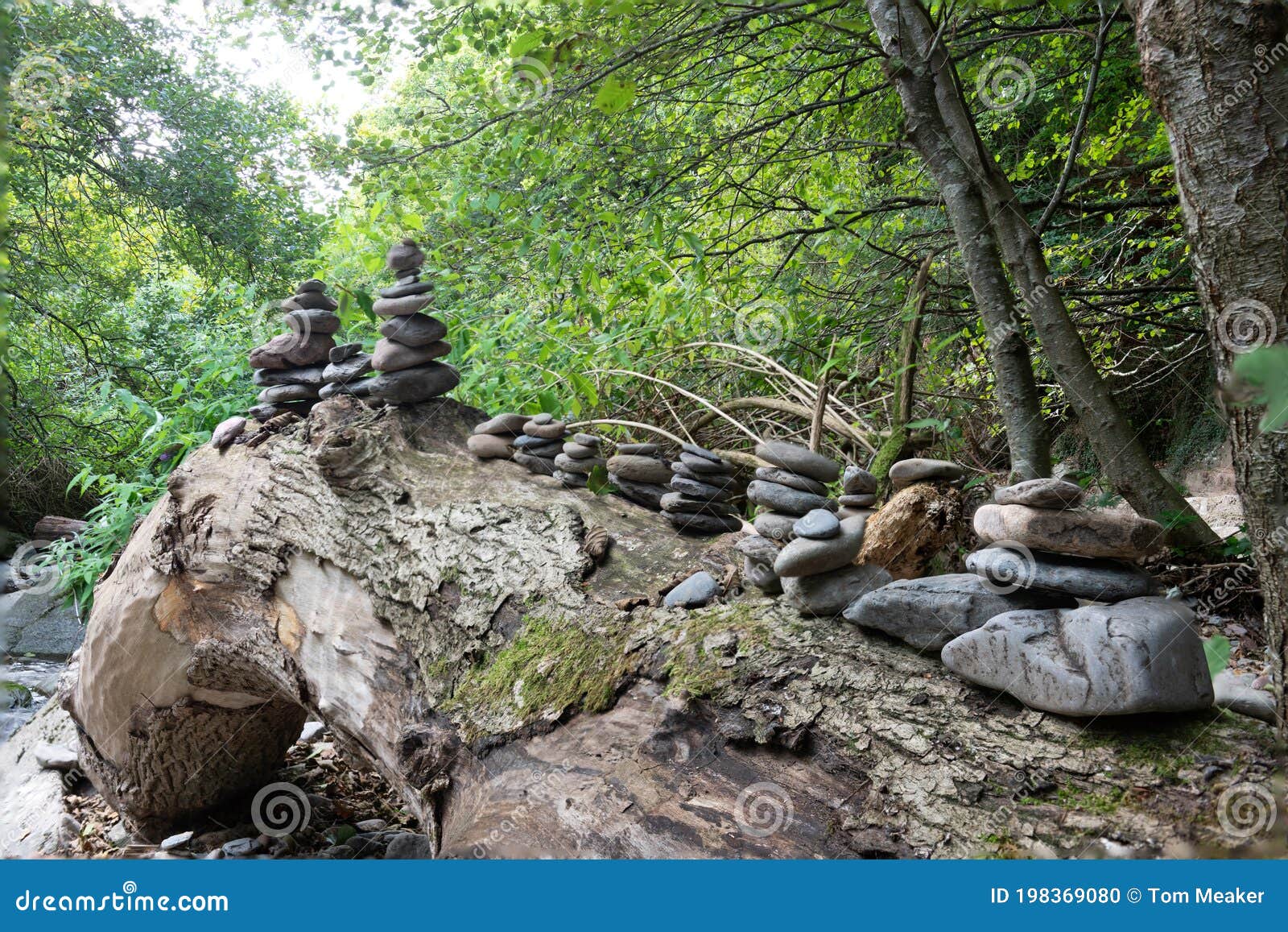 Rock stacking stock photo. Image of harmony, nature - 198369080