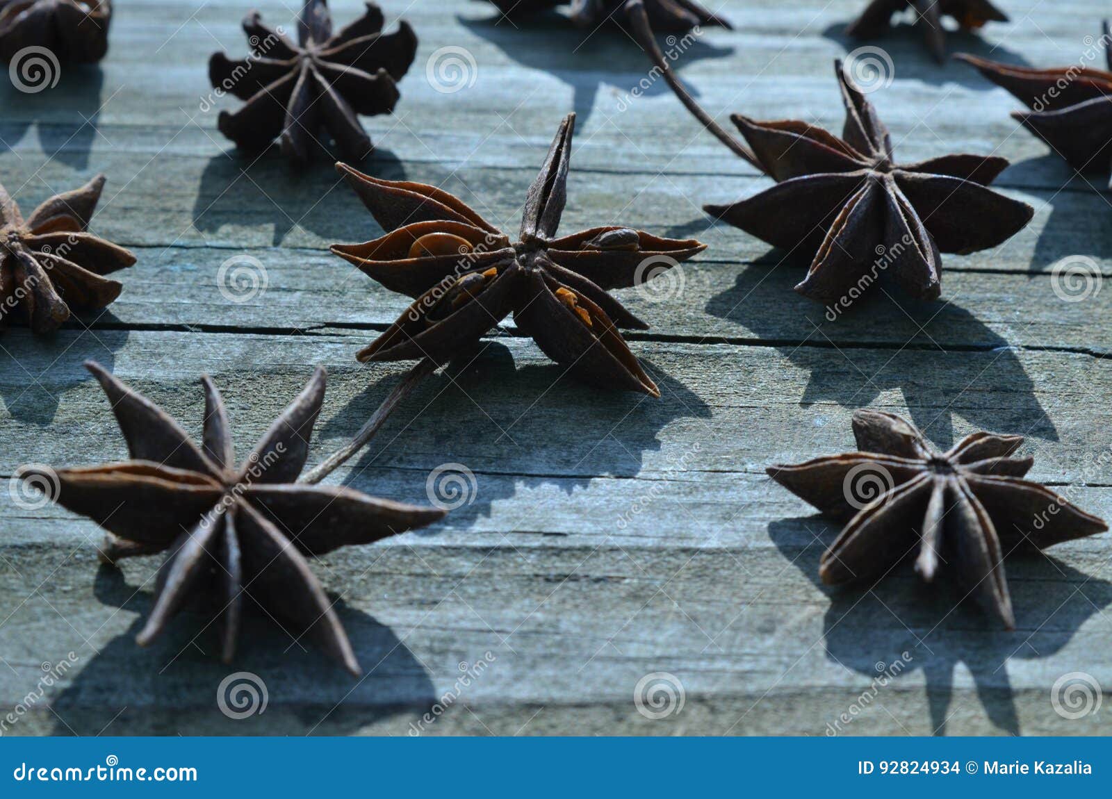 Close Up of Star Anise Seed Pods Spice Stock Photo - Image of closeup ...