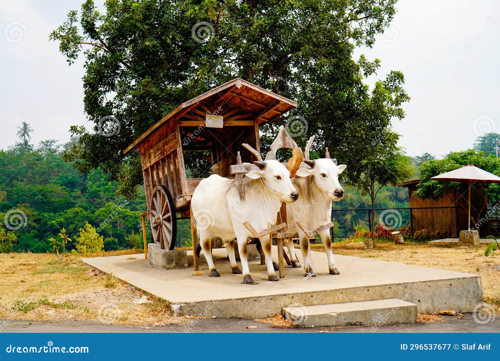 Close Up of a Statue of a Cow Pulling a Cart. Stock Image - Image of ...