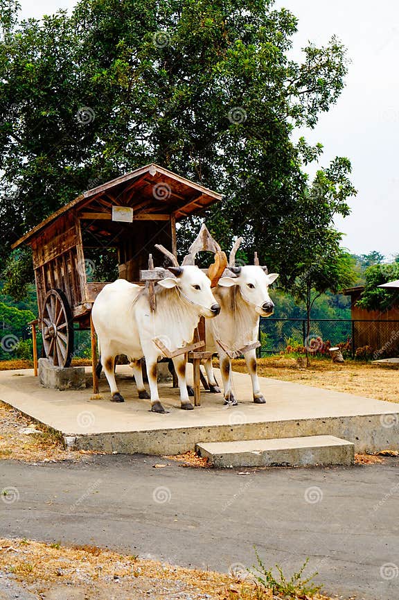 Close Up of a Statue of a Cow Pulling a Cart. Stock Image - Image of ...