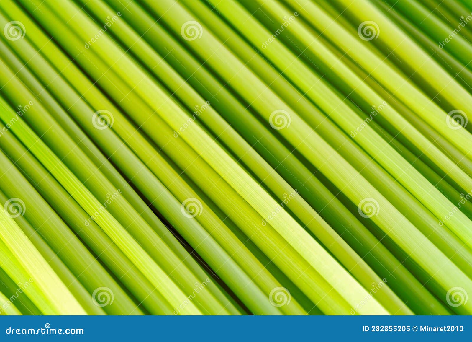 Stems of Green Grass As Background Stock Image - Image of organic ...