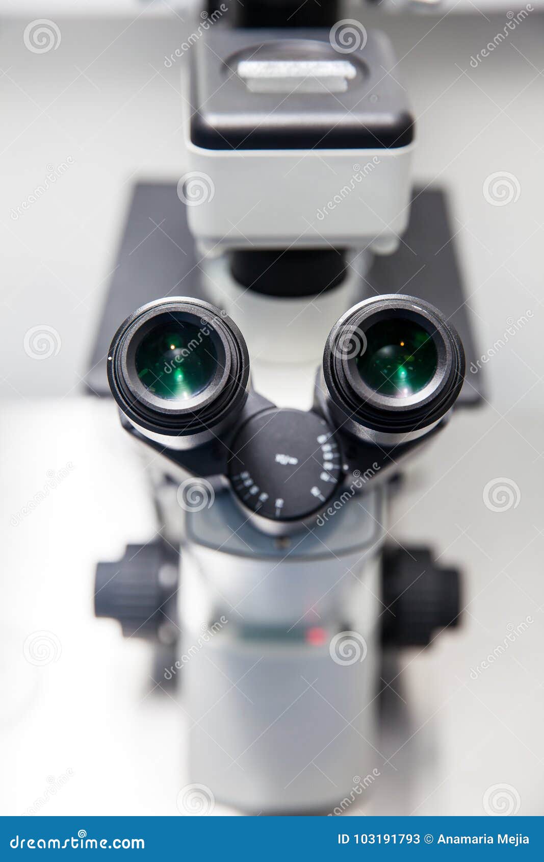 Stereo Microscope Inside A Laminar Flow Cabinet Stock Image ...
