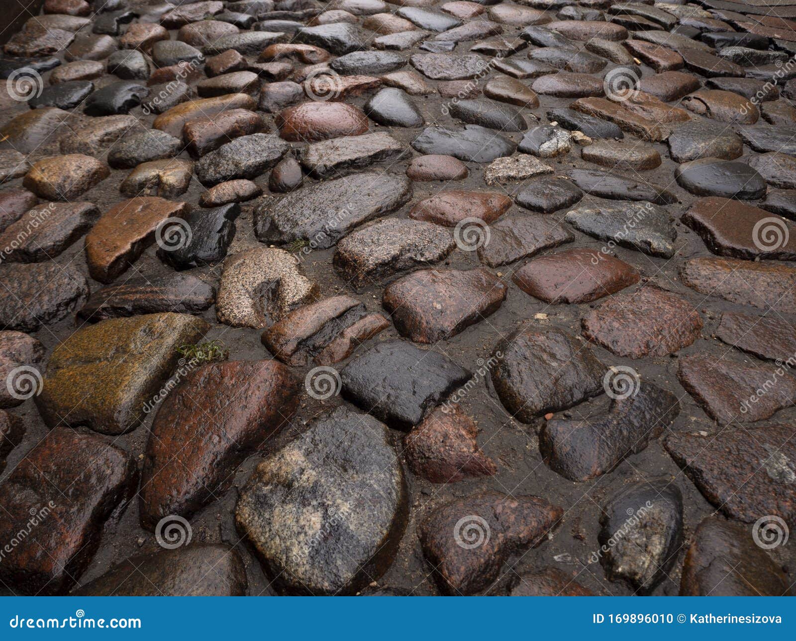Close Up of a Stone Cobblestone Pavement Wet after Rain Stock Photo ...