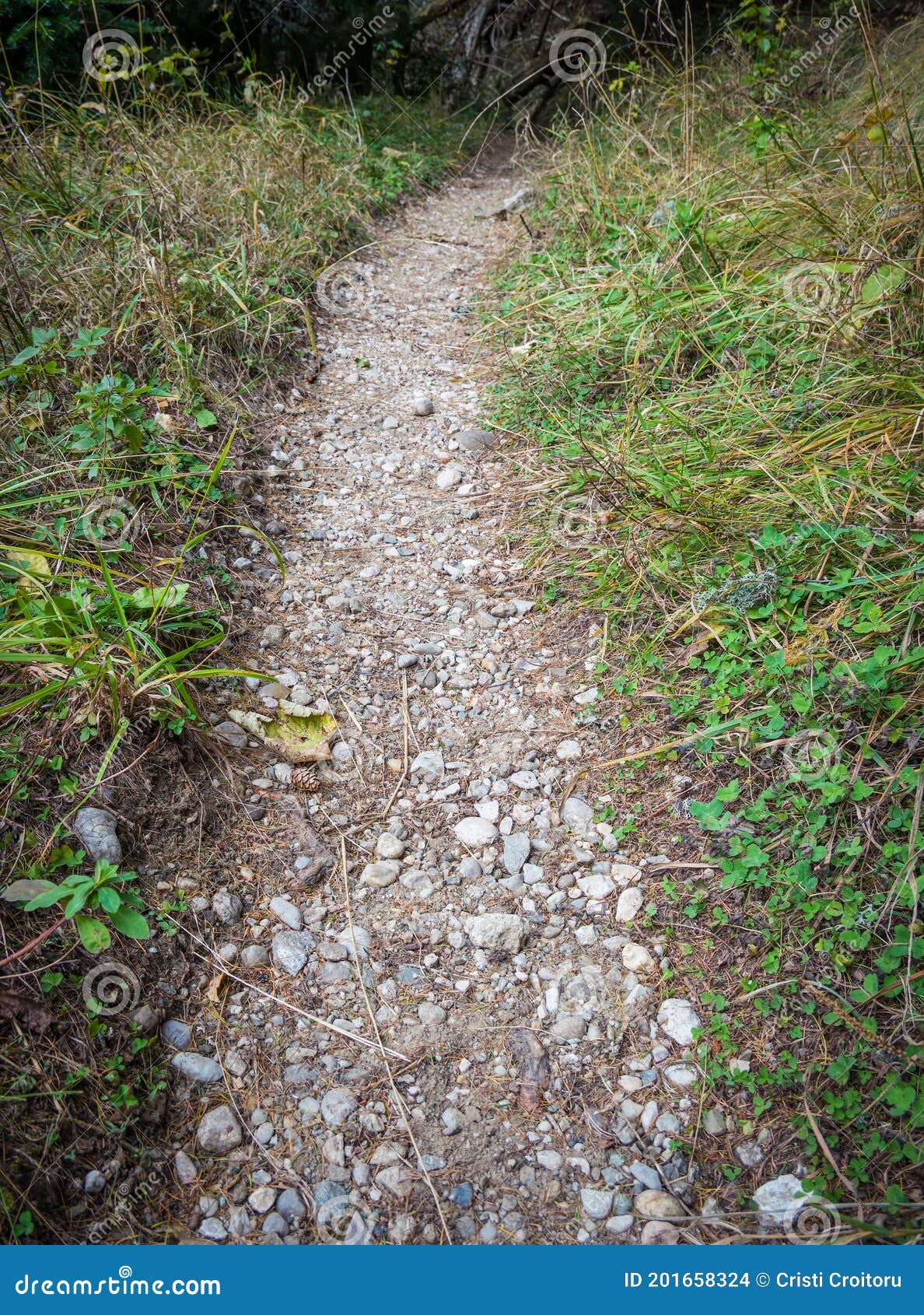 Close Up with a Stone or Gravel Footpath or a Pathway through Grass in ...