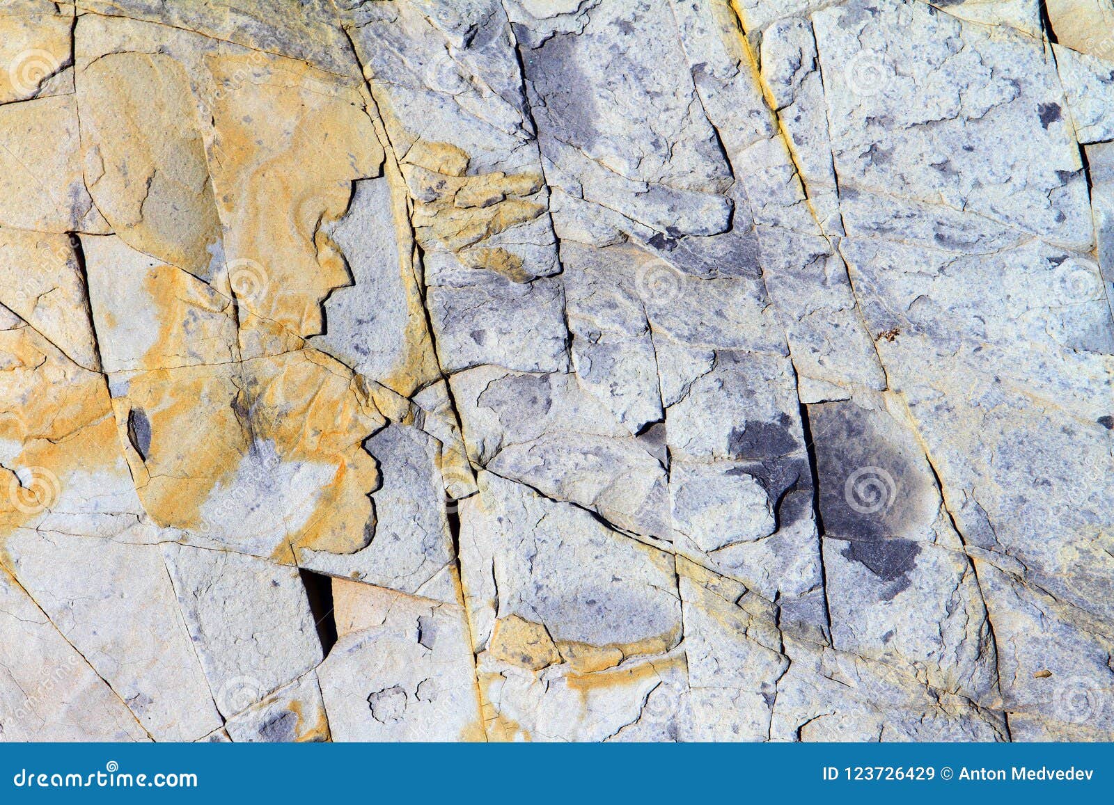 Close Up Stone Surface Texture with Cracks. Sea Limestone. Stock Image ...