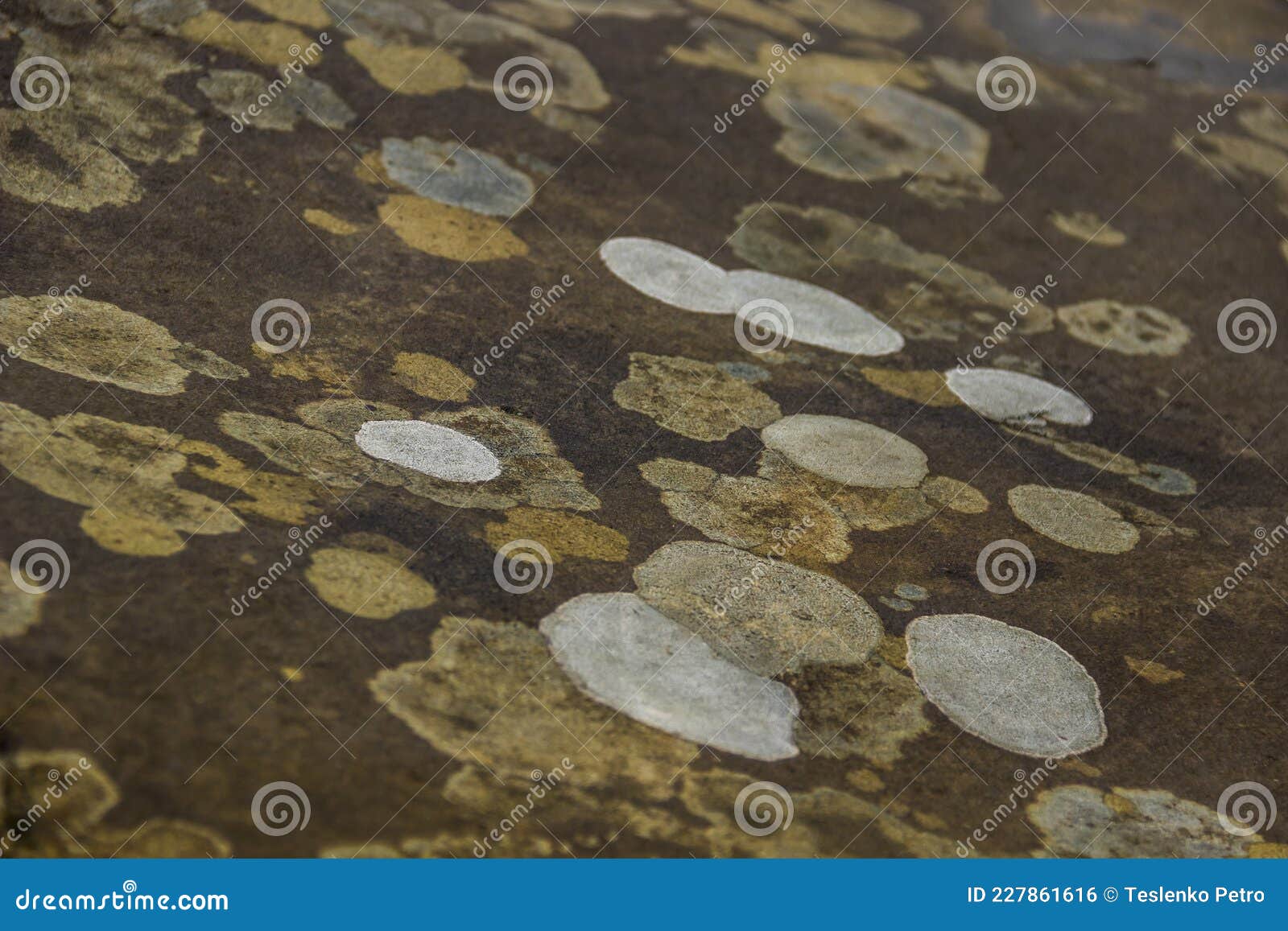Close-up of a Stone Texture Stock Photo - Image of people, stone: 227861616