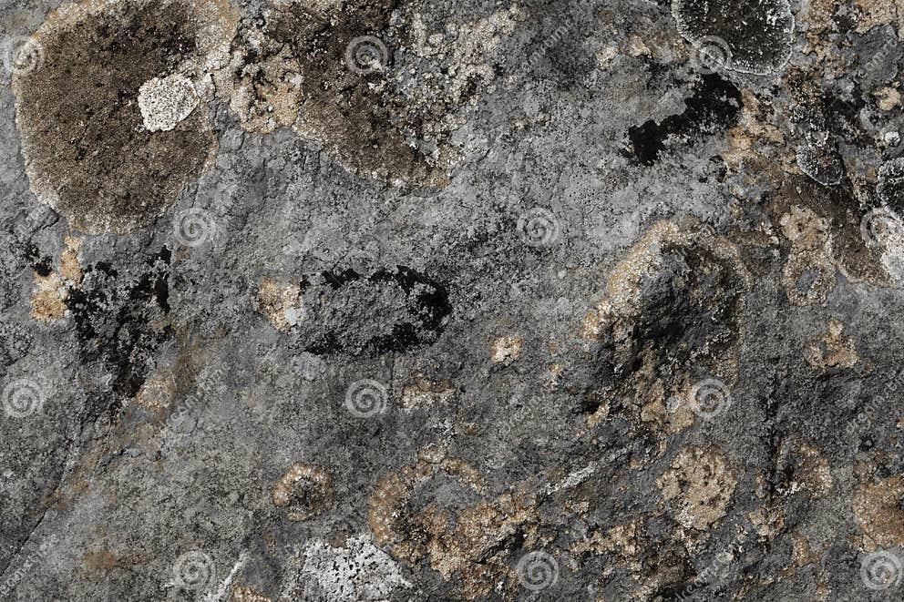 Close Up of Stony Surface, Texture Weathered Background Stock Photo ...