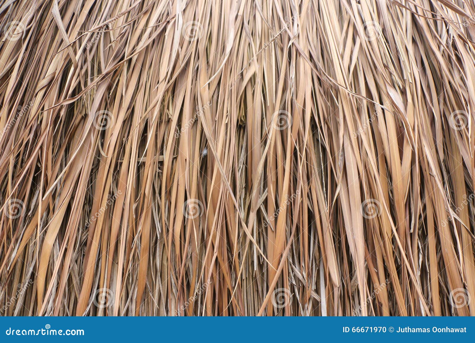 Close Up Straw Background. Texture of Straw Stock Photo - Image of ...