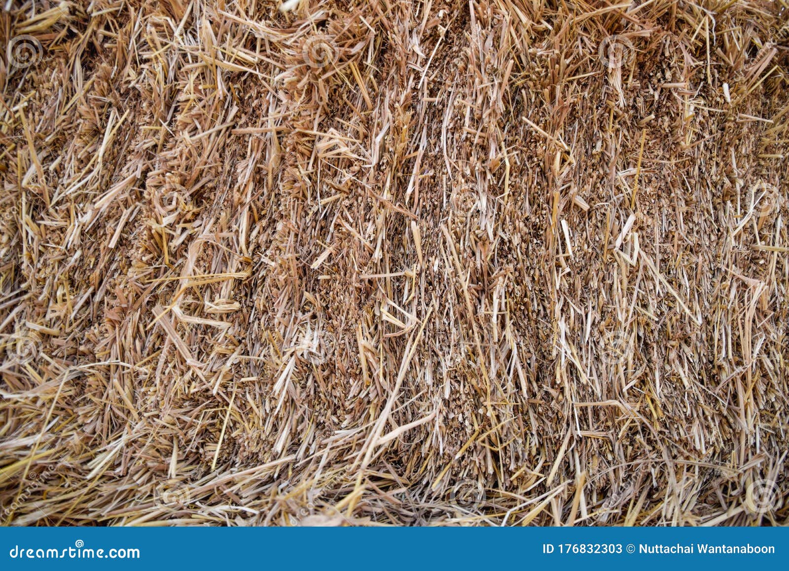 Straw Pile, Lined With A Layer. See Detailed Connections Clear. Stock ...