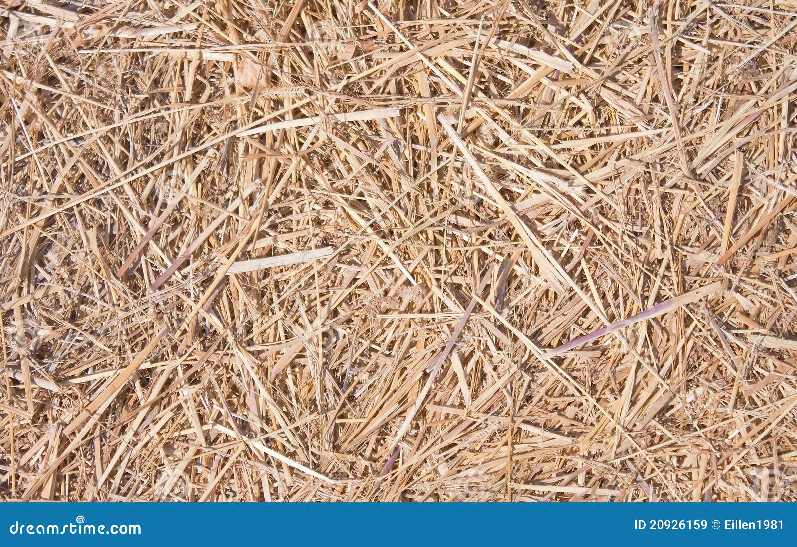 Close up straw texture stock image. Image of feeding - 20926159