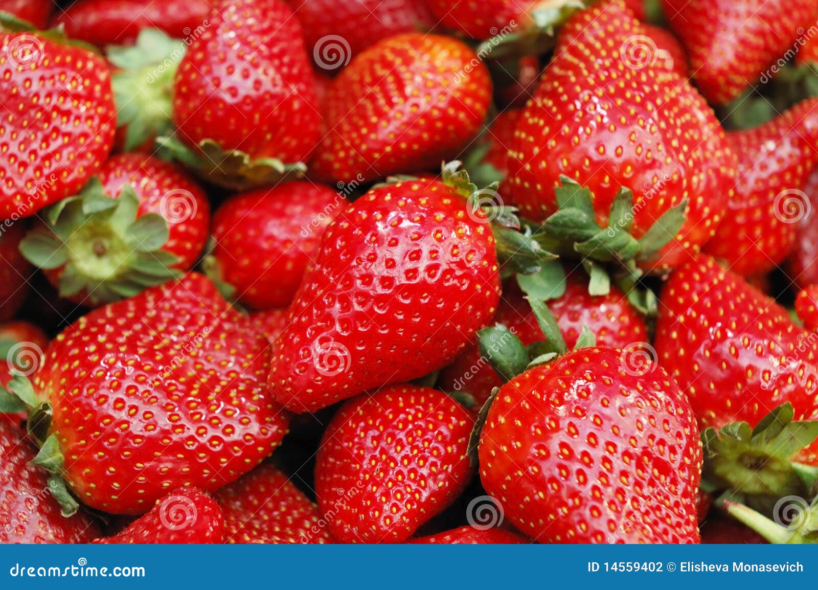 Close up of strawberry stock photo. Image of nutrition - 14559402