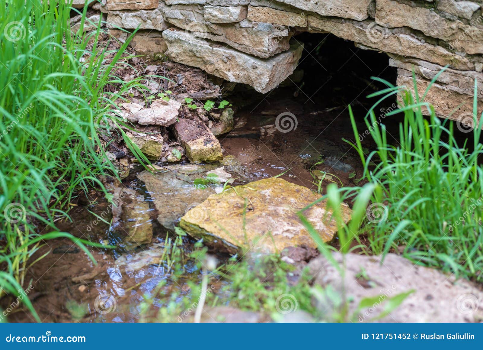 Close - Up of a Stream of Clean Water in the Grass from an Underground ...