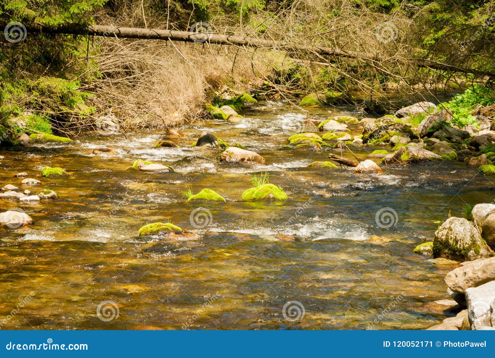 Close-up of a Stream with Clean Water and Green Stone Stock Image ...