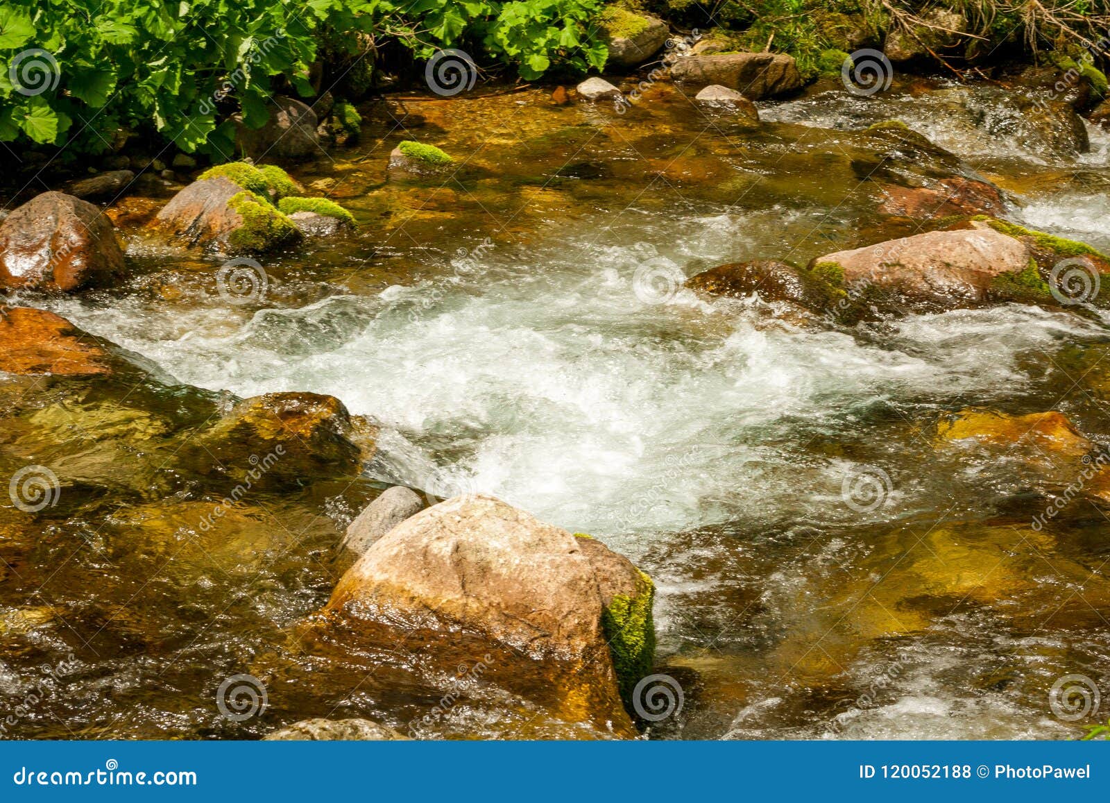 Close-up of a Stream with Clean Water and Green Stone Stock Photo ...