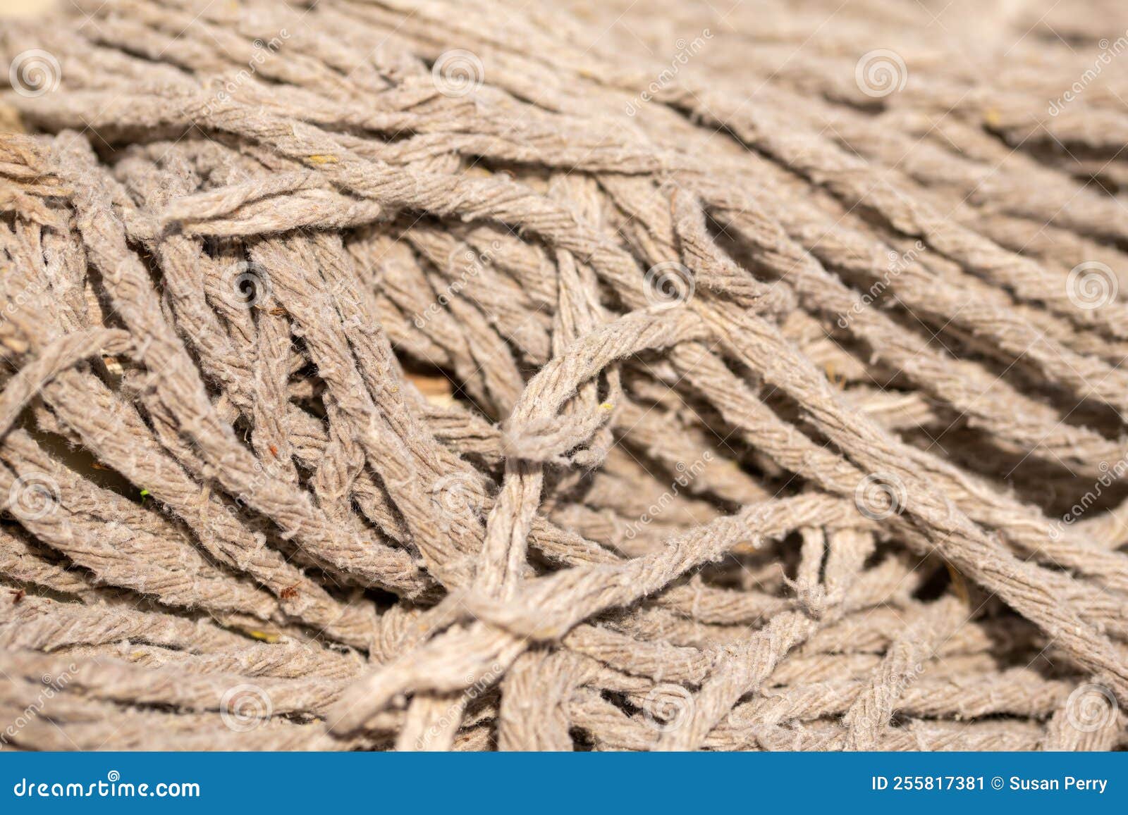 Close Up of a String Mop Grungy and Worn Stock Image - Image of leaf ...