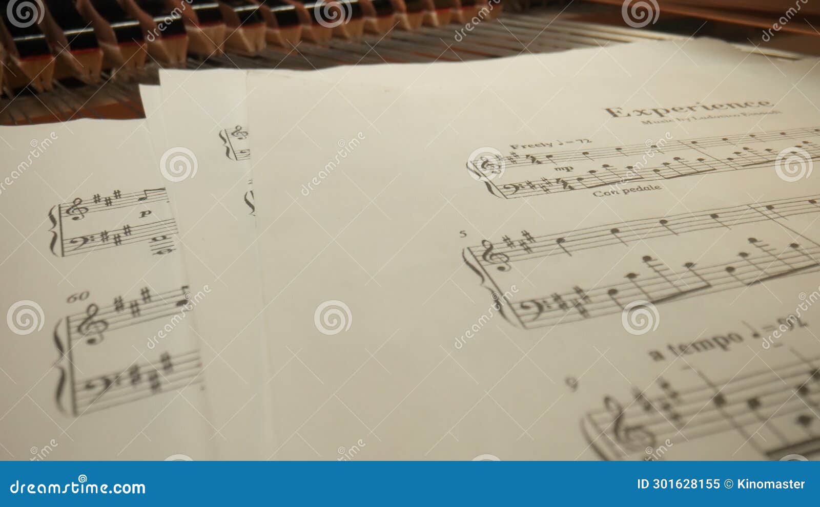 Close Up Studio Shot of Classical Piano. Shot Inside the Piano with ...