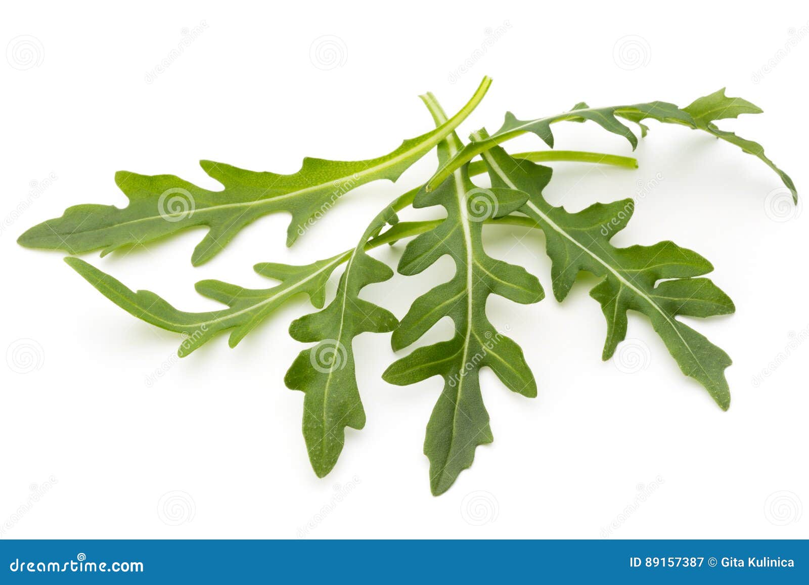 Close Up Studio Shot of Green Fresh Rucola Isolated on White Background ...