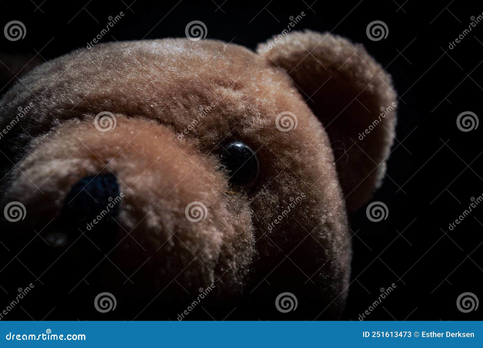 Close-up of a Stuffed Animals Face Stock Image - Image of sitting ...