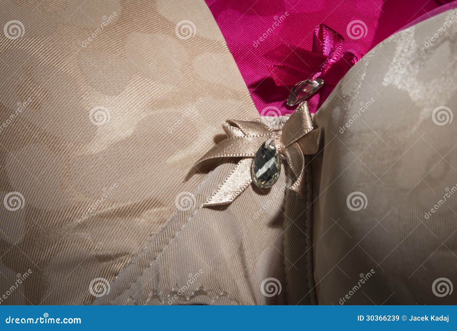 Close Up of Stylish, Beige Bra Stock Image - Image of female, bust ...