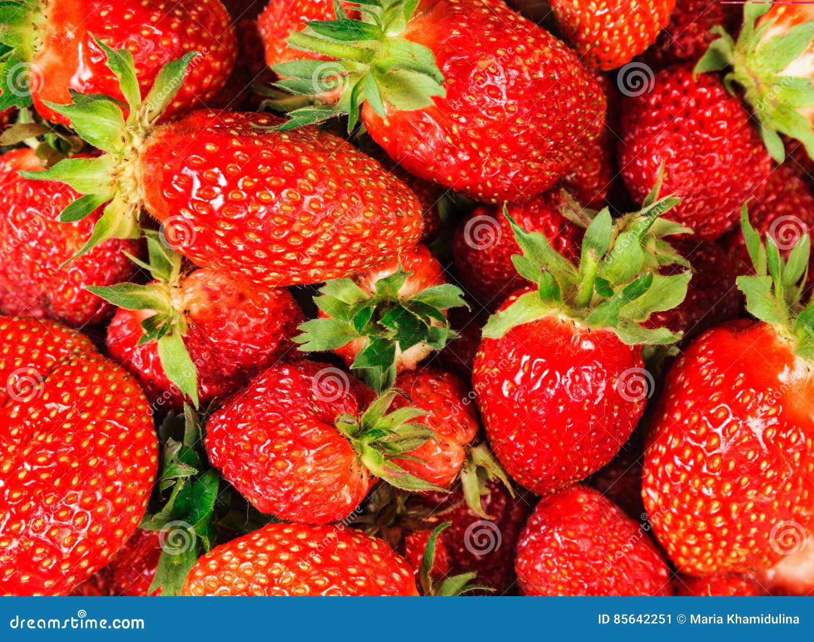 Close Up Suculento Grande Da Morango Das Bagas Do Placer Imagem de ...