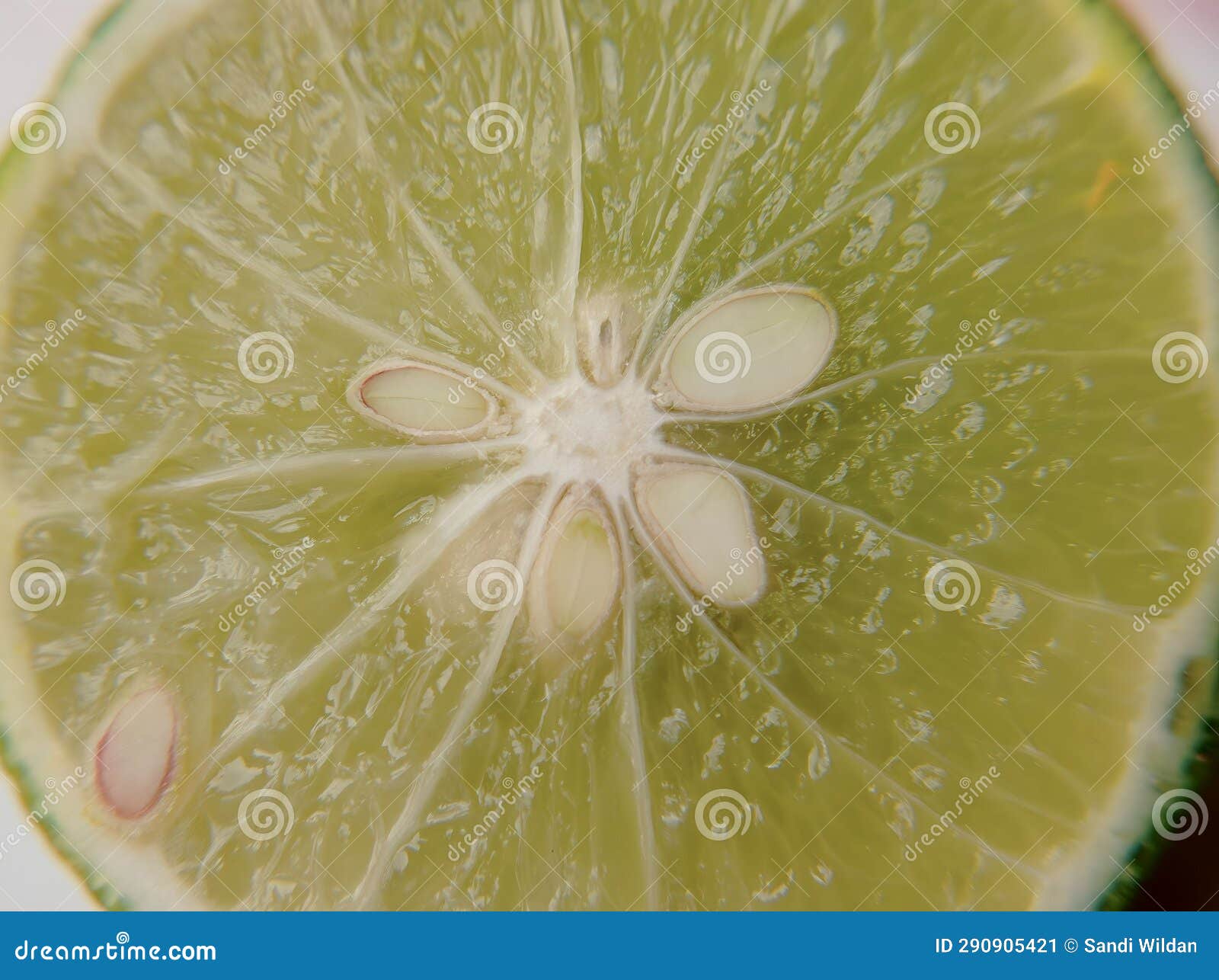 Close Up of the Surface of a Halved Lime with the Seed in the Middle ...