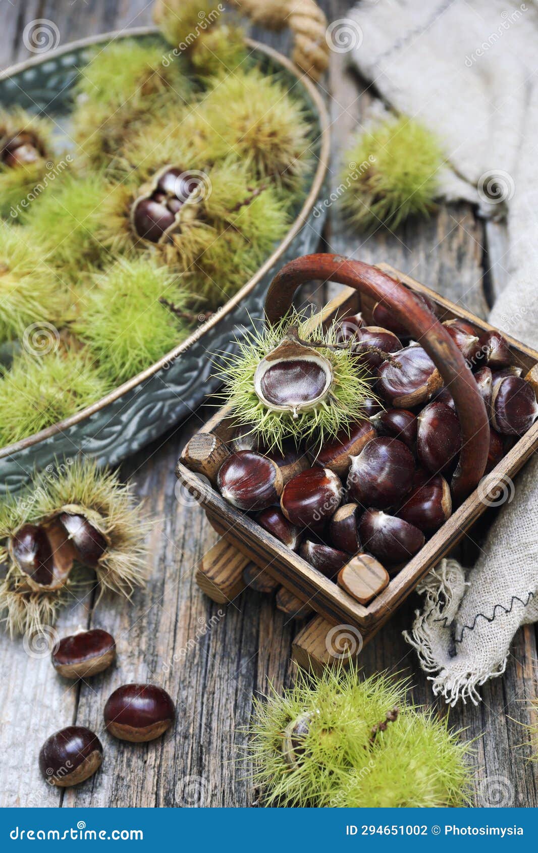 Close Up of Sweet Chestnuts in the Basket Stock Photo - Image of thorny ...
