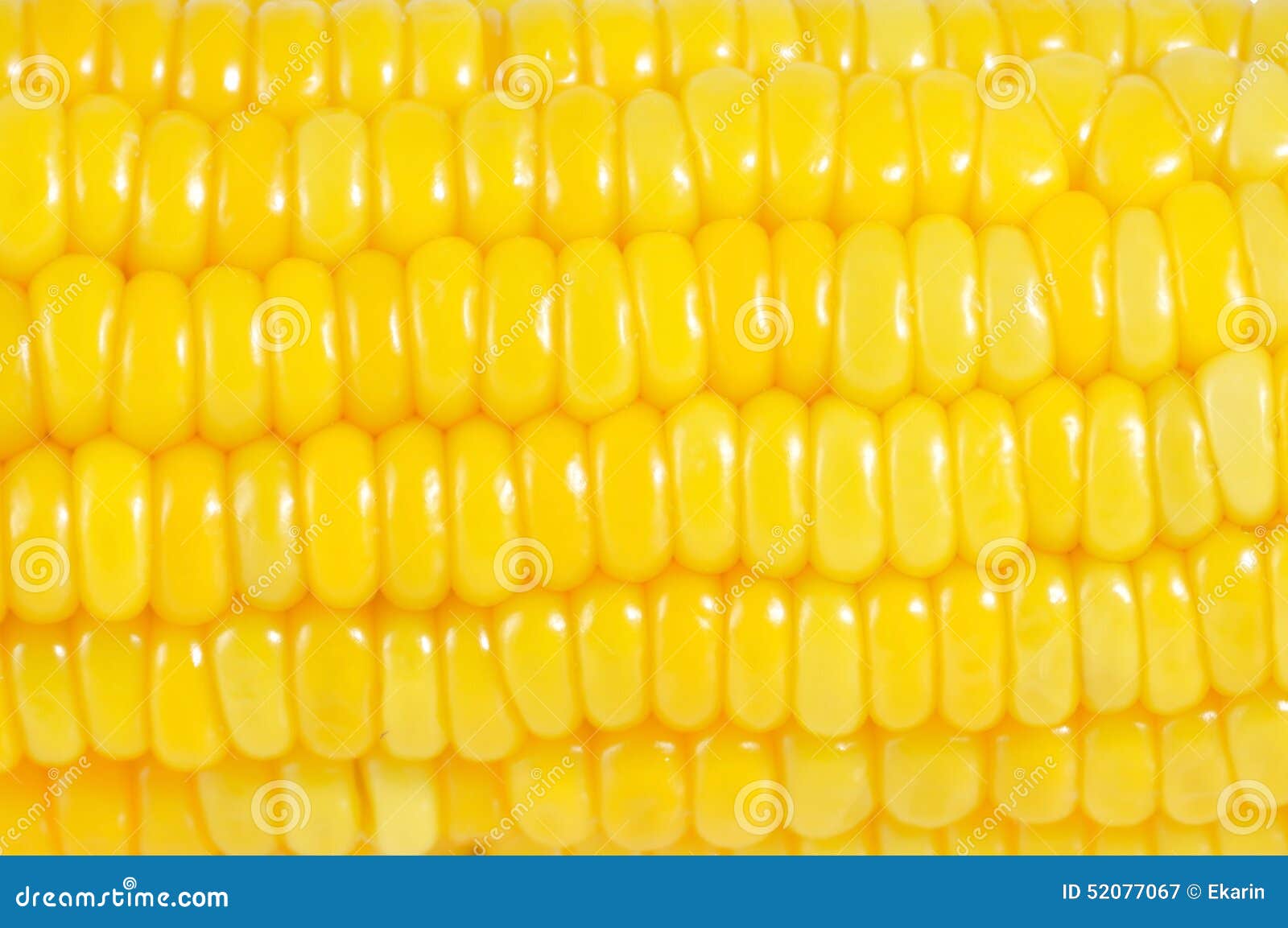 Close Up Sweet Corn, Natural Texture and Pattern Stock Image - Image of ...