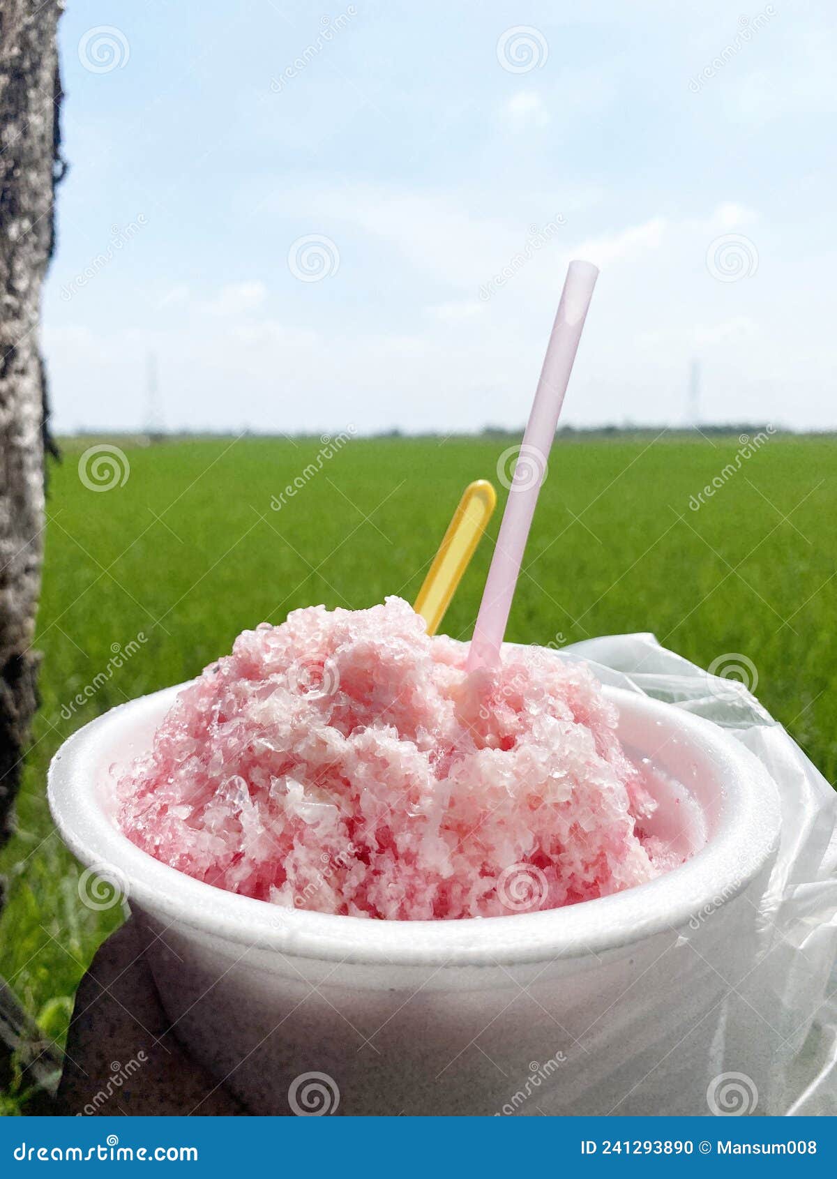 Sweet Shaved Ice on Man Hand Stock Photo - Image of white, summer ...