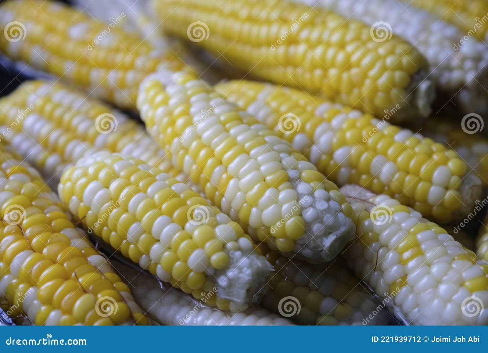 Close up of a sweetcorn. stock photo. Image of isolated - 221939712