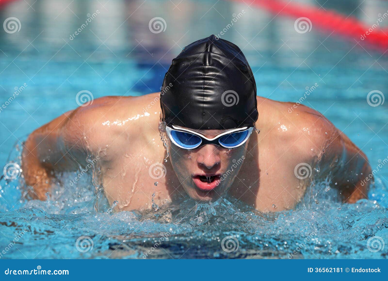 Close Up of Swimming Man in Pool Stock Image - Image of caucasian ...