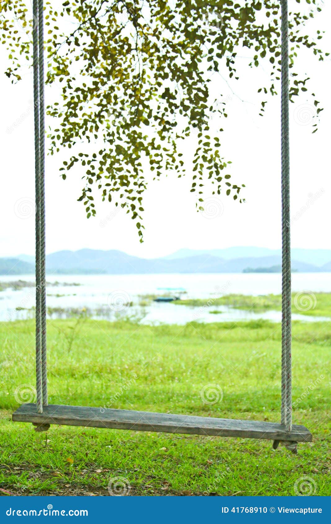 Close-up Of A Swing Seat Royalty-Free Stock Photo | CartoonDealer.com ...