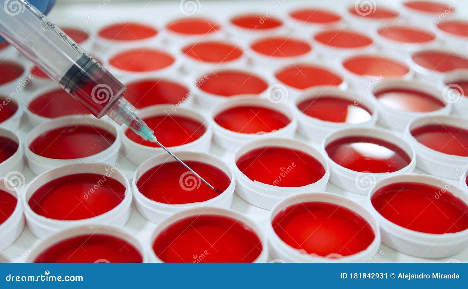 Close Up of Syringe Taking a Sample of Red Liquid from a Group of Round ...