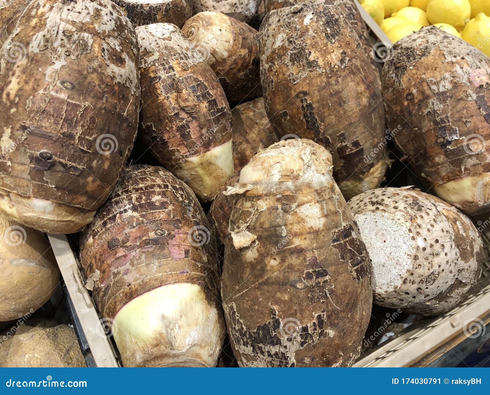 Close Up of Taro or Gabi Root Crops Stock Image - Image of harvest ...