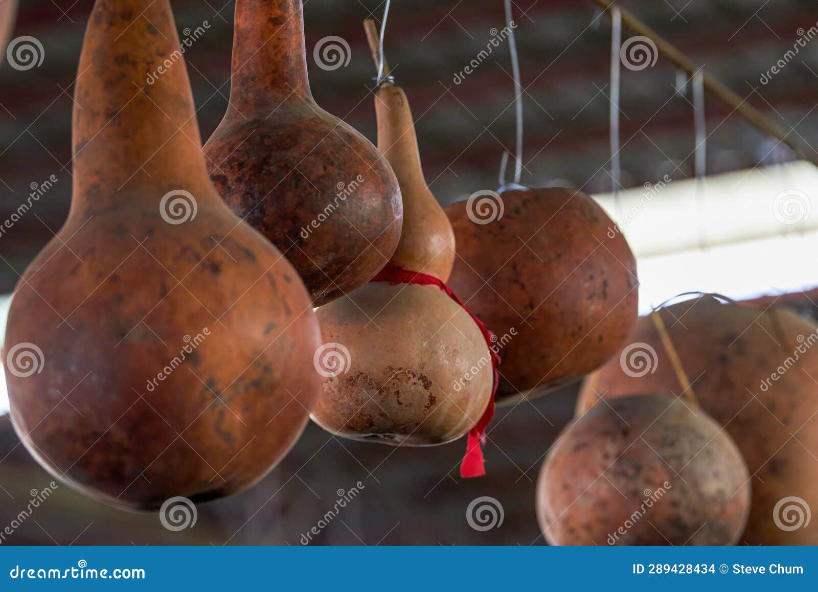 Close-up of a Tattered and Damaged Rotten Gourd Stock Photo - Image of ...